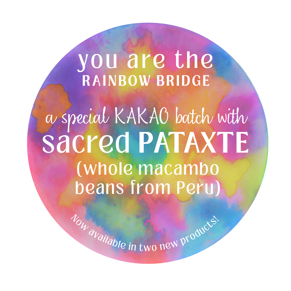 RAINBOW BRIDGE Pataxte/Macambo Edition – KAKAO Ceremonial Drinking ...